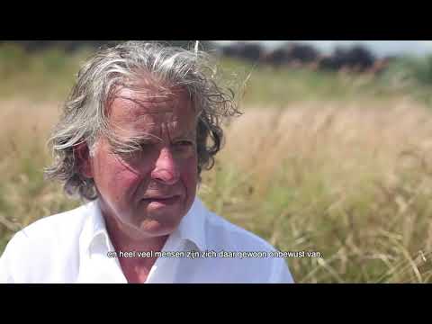 Ontdek wat ik, Johan Blom, voor je kan betekenen